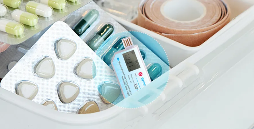 Temperature and Humidity Recorder | Wisesorbent® Europe